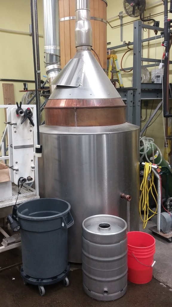 Rookie of the Year Root Beer – Eric’s Gourmet Root Beer Blog